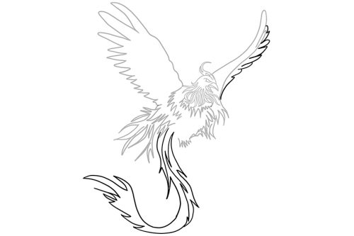 How to Draw a Phoenix - Beautiful Phoenix Illustration Guide