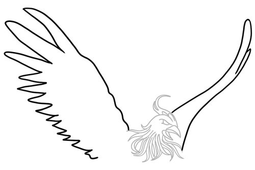 How to Draw a Phoenix - Beautiful Phoenix Illustration Guide