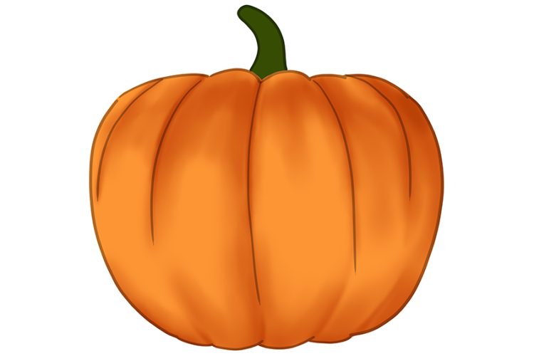 How to Draw a Pumpkin - A Festive Pumpkin Drawing Tutorial