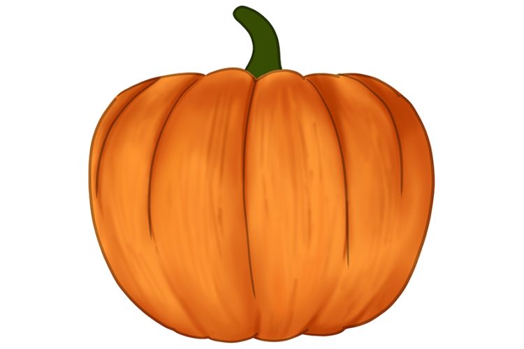 How to Draw a Pumpkin - A Festive Pumpkin Drawing Tutorial