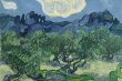 "The Olive Trees" by Vincent van Gogh - "The Olive Trees" Analysis