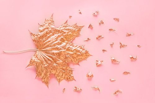 Rose Gold Color - Exploring a Rose Gold Color Palette