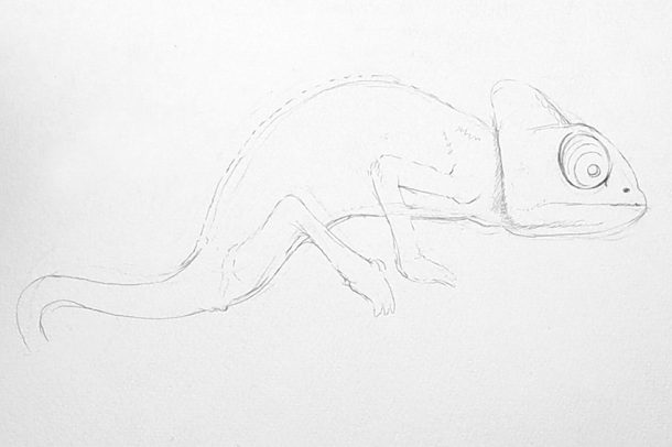 How to Draw a Chameleon – Easy Drawing these Beautiful Reptiles