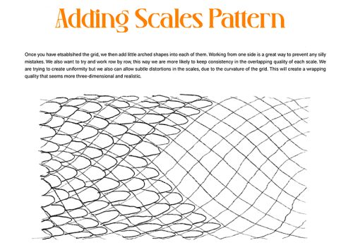How to Draw Scales - A Realistic Snakeskin Drawing Guide