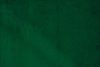 Hunter-Green Color - Colors in the Hunter-Green Palette