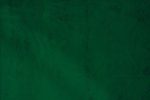 Hunter-Green Color - Colors in the Hunter-Green Palette