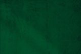 Hunter-Green Color - Colors in the Hunter-Green Palette