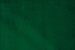 Hunter-Green Color - Colors in the Hunter-Green Palette
