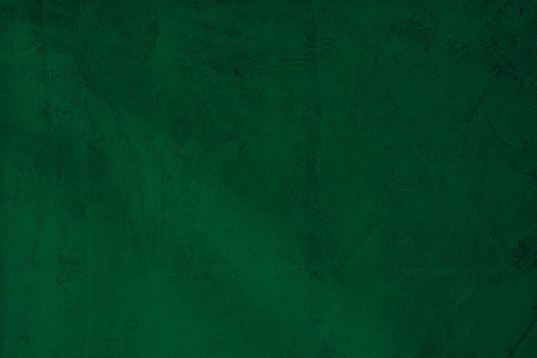 Hunter-Green Color - Colors in the Hunter-Green Palette