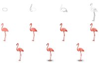 How to Draw a Flamingo - Fun Flamingo Illustration Tutorial