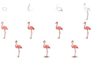 How to Draw a Flamingo - Fun Flamingo Illustration Tutorial