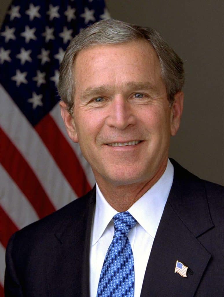 George W. Bush Paintings - A New Side of George Bush Art