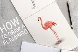 How to Draw a Flamingo - Fun Flamingo Illustration Tutorial