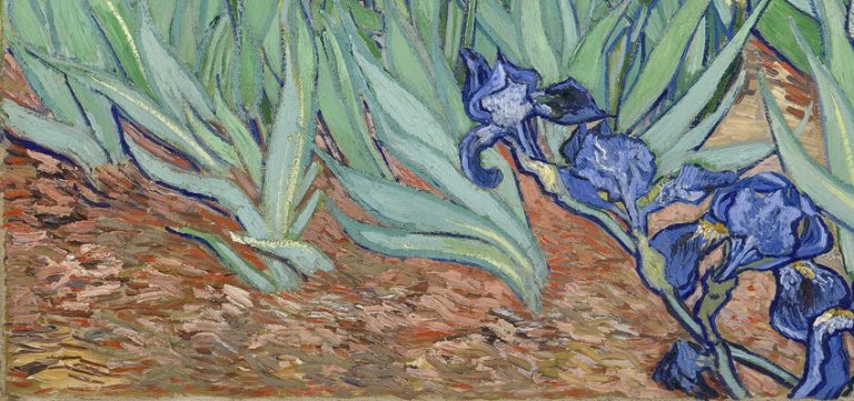 "Irises" by Vincent van Gogh - Studying the Famed "Irises" Painting