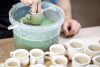 Celadon Color - All You Need to Know About Celadon Green
