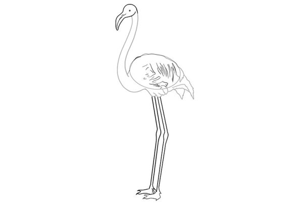 How to Draw a Flamingo - Fun Flamingo Illustration Tutorial