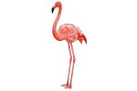 How to Draw a Flamingo - Fun Flamingo Illustration Tutorial