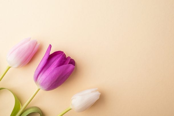 Beige Color – Shades of Beige and Color Combinations