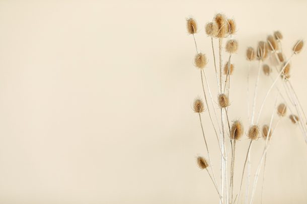 Beige Color – Shades of Beige and Color Combinations