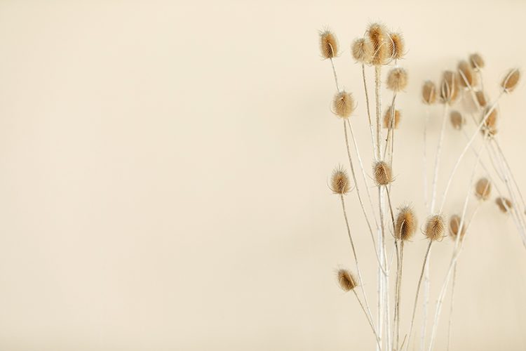 Beige Color – Shades of Beige and Color Combinations