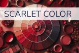 Scarlet Color - A Deep Dive Into the Beautiful Scarlet Red Shade