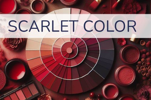 Scarlet Color - A Deep Dive Into the Beautiful Scarlet Red Shade