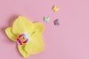 Orchid Color – Using Orchid Color Palette in Design and Fashion