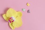 Orchid Color – Using Orchid Color Palette in Design and Fashion