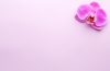 Orchid Color – Using Orchid Color Palette in Design and Fashion