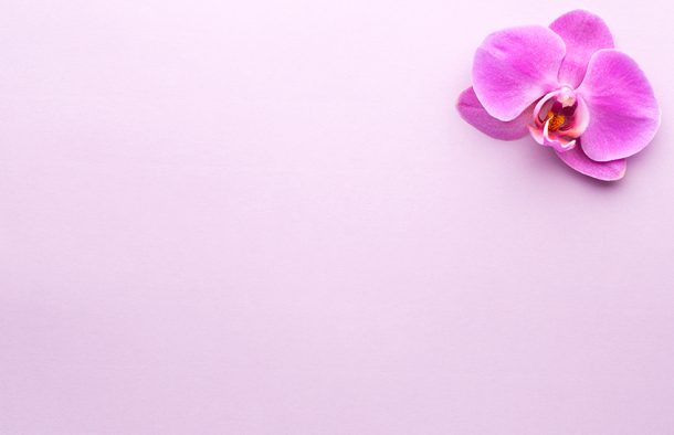 Orchid Color – Using Orchid Color Palette in Design and Fashion