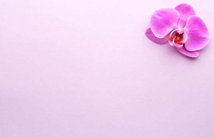 Orchid Color – Using Orchid Color Palette in Design and Fashion