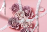 Dusty Rose Color – A Deep Dive Into Dusty Rose Color Theory
