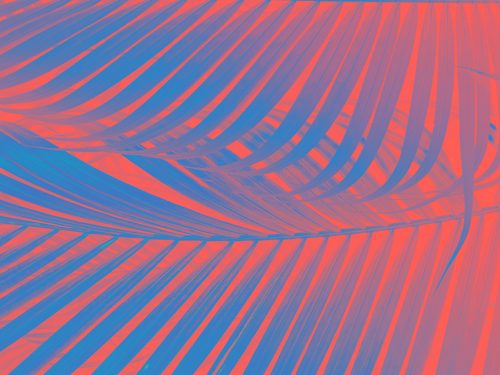 Pastel Red – Exploring the Pastel Red Color Palette