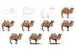 How to Draw a Camel – Easy Camel Drawing Step by Step