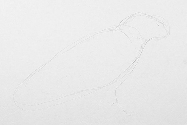 How to Draw a Crow – Tips from the Artist about Drawing a Crow