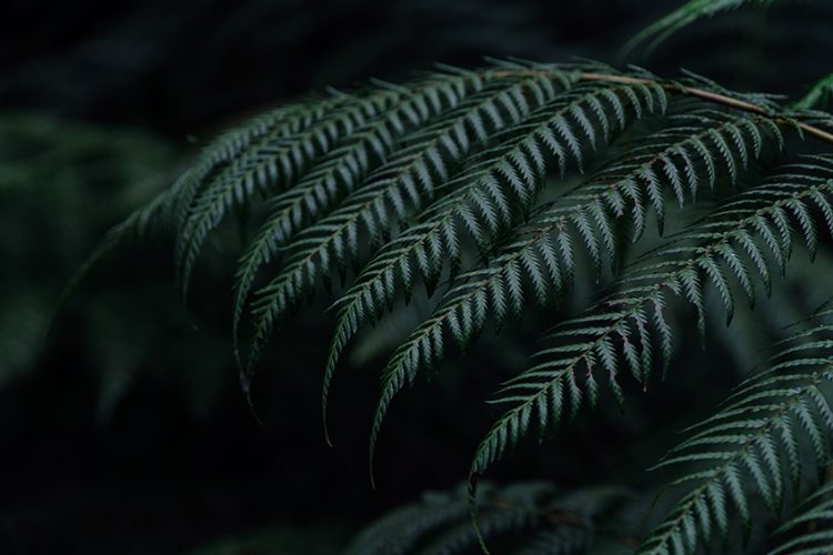 Meaning of the Color Cyan - The Hue of Clarity and Creativity