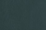 Ebony Color – What Does the Color Ebony Look Like?