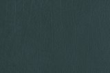 Ebony Color – What Does the Color Ebony Look Like?