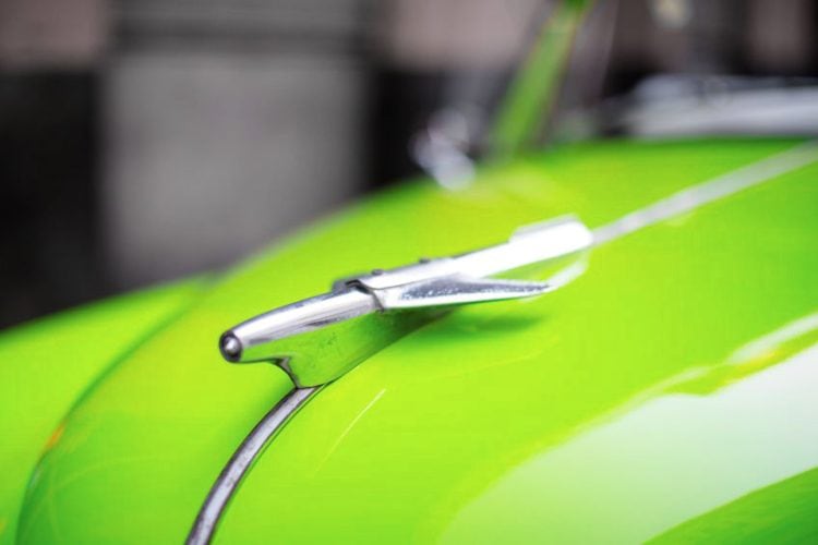 Neon Green Color – All You Need to Know About Neon Green