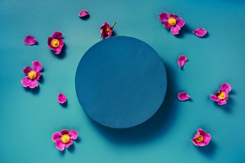 Peacock Blue – What Colors Go With Peacock Blue?