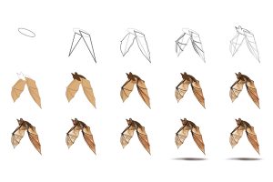 How to Draw a Bat - A Step-by-Step Guide to Create a Bat Drawing