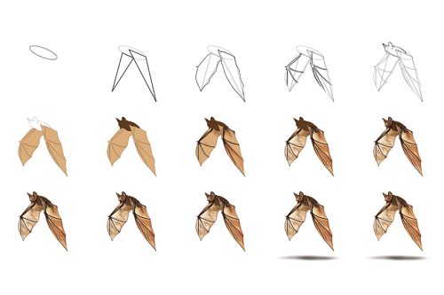 How to Draw a Bat - A Step-by-Step Guide to Create a Bat Drawing