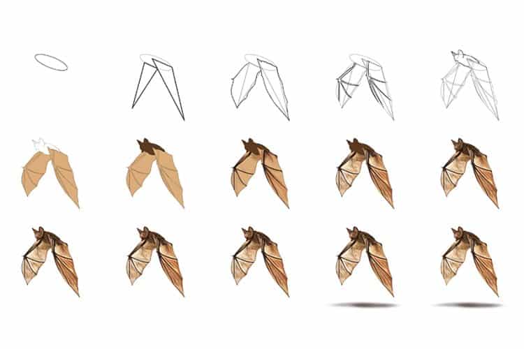 How to Draw a Bat - A Step-by-Step Guide to Create a Bat Drawing