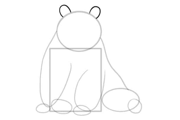 How to Draw a Bear - An Easy Bear Drawing Tutorial
