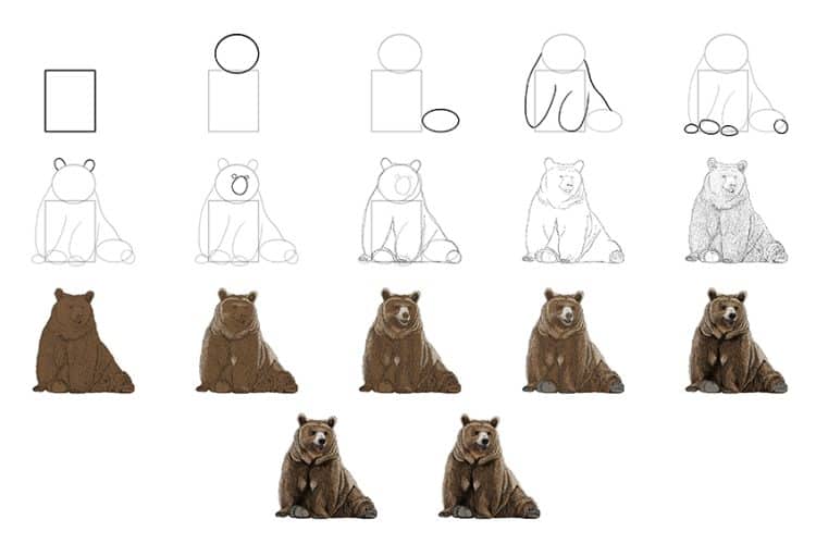 How to Draw a Bear - An Easy Bear Drawing Tutorial