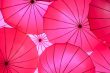 Salmon Color - All You Need to Know, Including All Shades