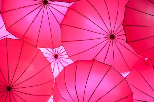 Salmon Color - All You Need to Know, Including All Shades
