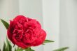 Crimson Color - How to Make and Use Crimson Red in Art