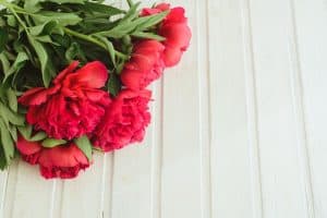 Crimson Color - How to Make and Use Crimson Red in Art