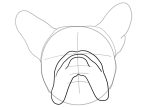 How to Draw a Dog Face - A Fun Drawing Tutorial!